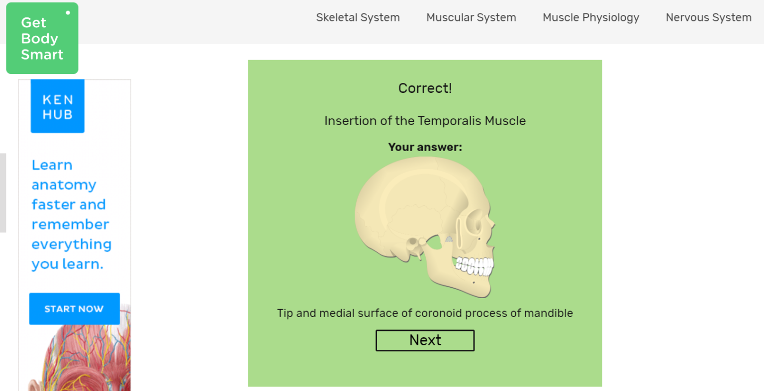 9 Anatomy & Physiology Study Games for College Students (Free, Quick ...