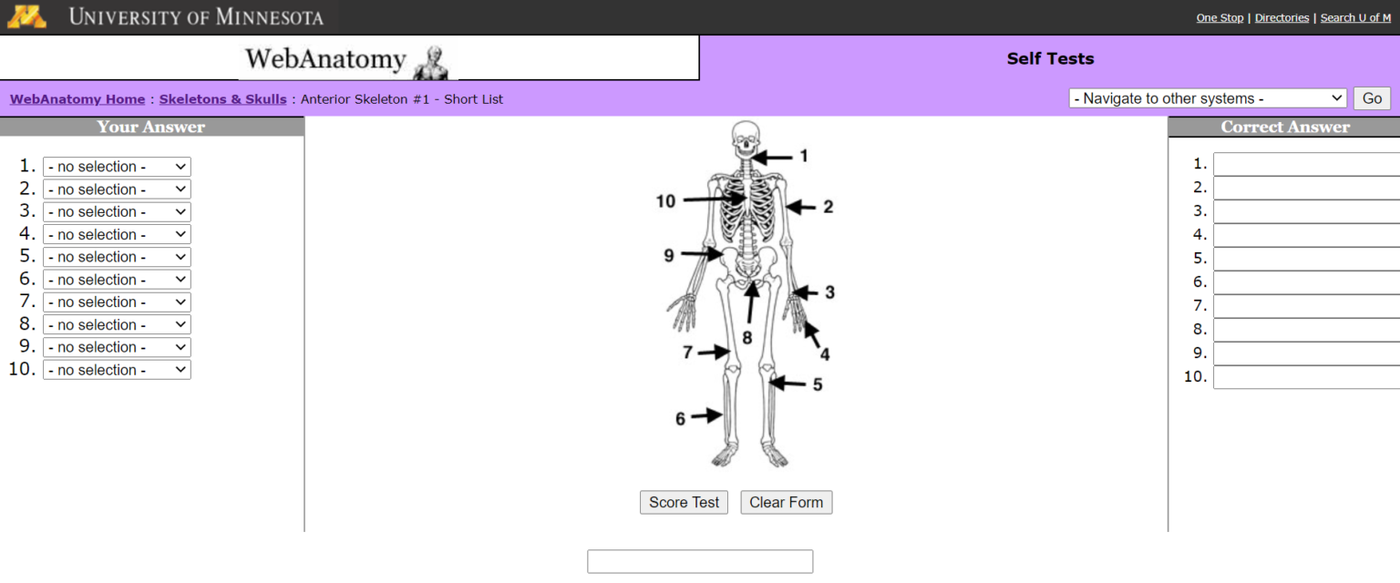 9 Anatomy & Physiology Study Games for College Students (Free, Quick ...