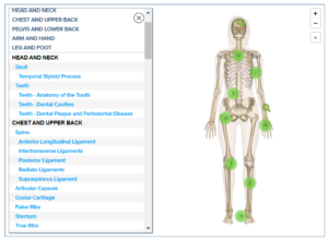 5 Best Free Anatomy Websites (For Medical Students & Beyond)! – willpeachMD