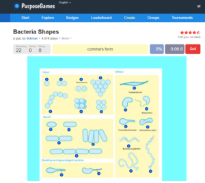 11 Free Microbiology Study Games! (Quick & Fun) – willpeachMD