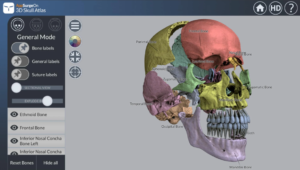 11 Best Anatomy Apps For Medical Students (Free & Paid!) – willpeachMD