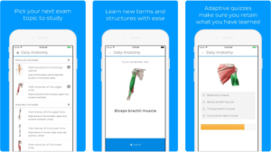 11 Best Anatomy Apps For Medical Students (Free & Paid!) – willpeachMD