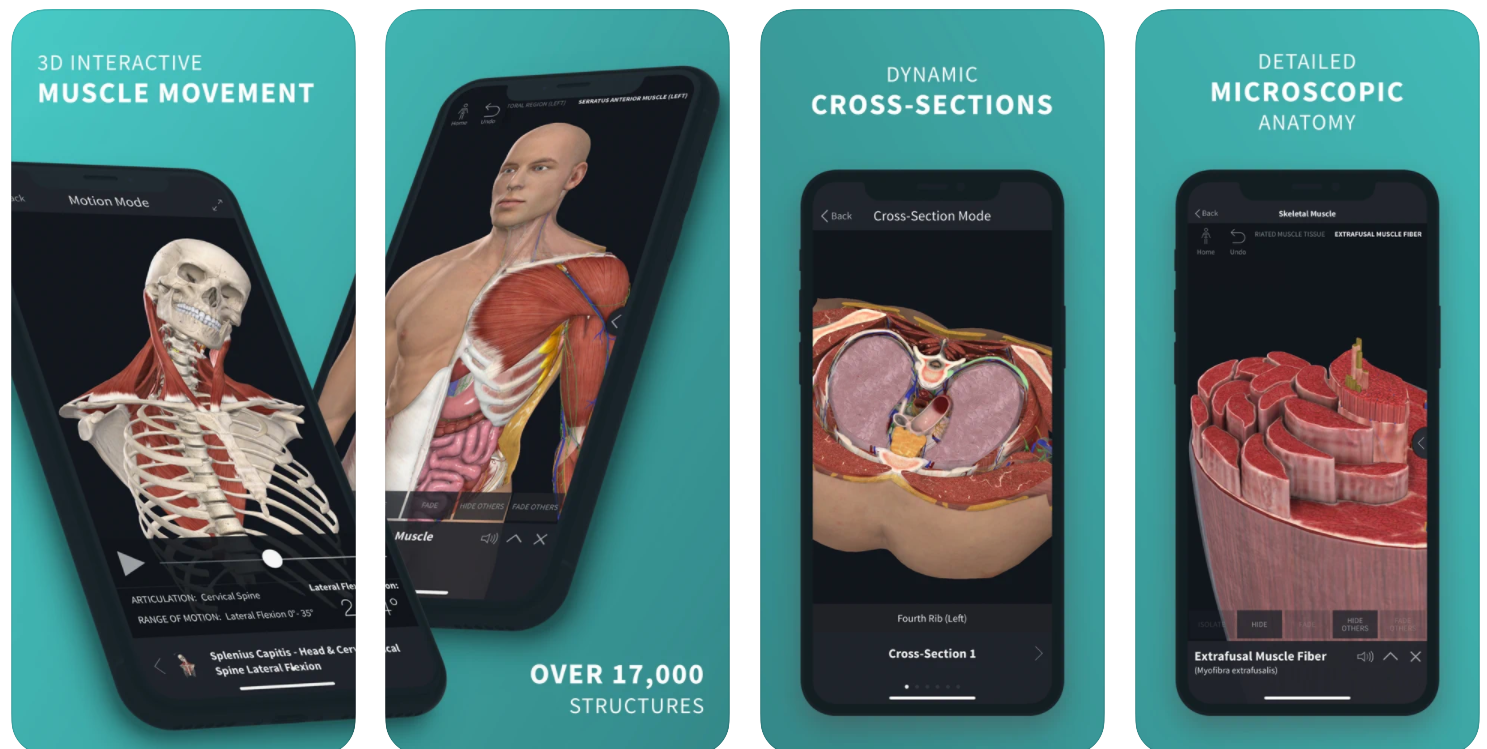 11 Best Anatomy Apps For Medical Students Free Paid WillpeachMD
